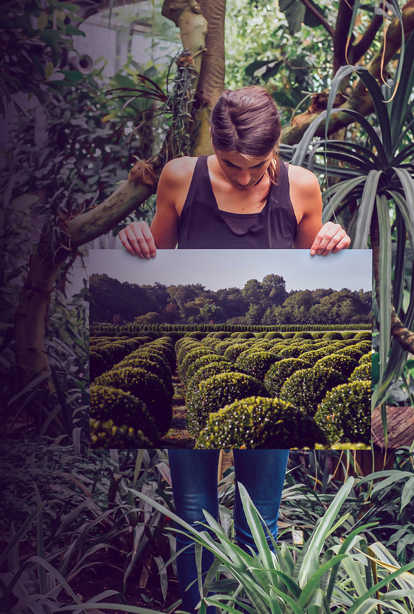 Photo management system for Menkehorst Kwekerijen | SST Software