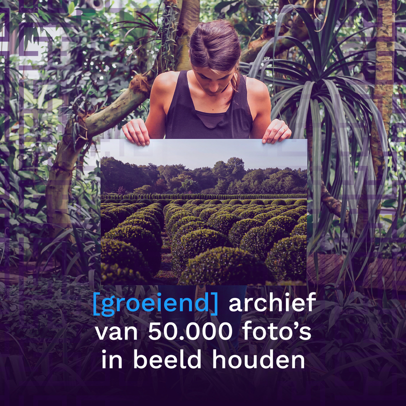 Photo management system for Menkehorst Kwekerijen | SST Software