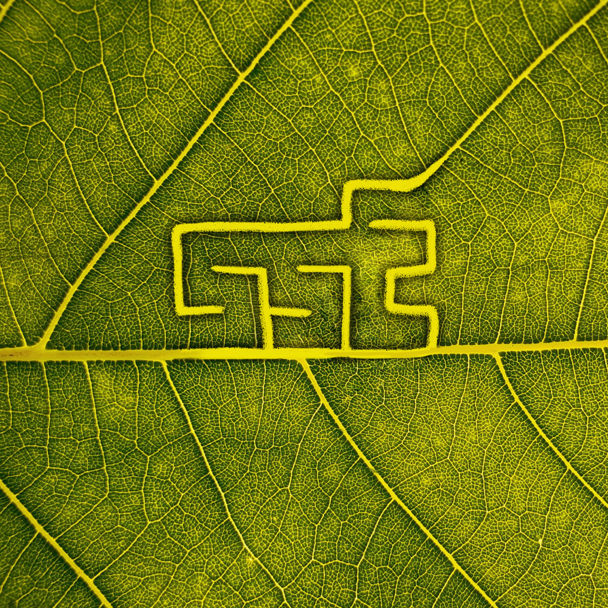 Sustainability policy | SST Software